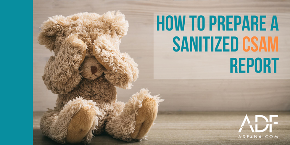 How to Prepare a Sanitized CSAM Report - CDFS - Digital Forensic ...